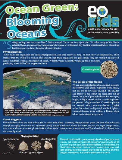 NASA: Ocean Green, Blooming Ocean – Marufish World of Ocean Color